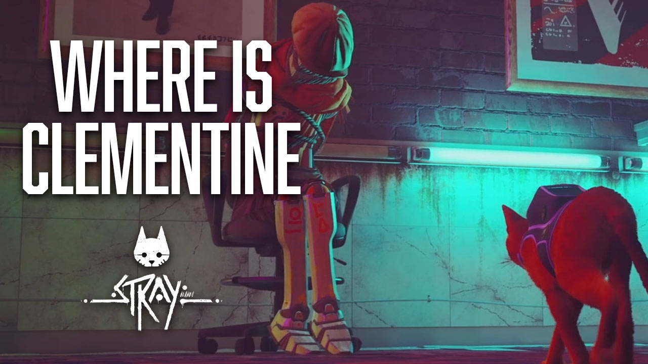 Location Where to find Clementine in Stray